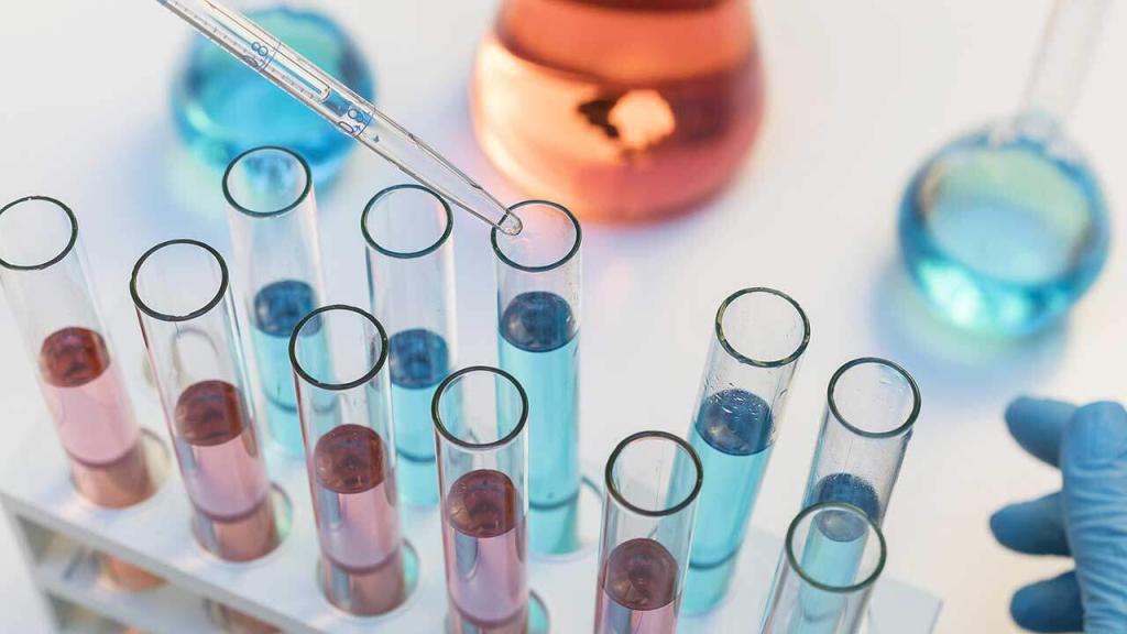 4 important Factors to Consider while Preparing a Preclinical ...